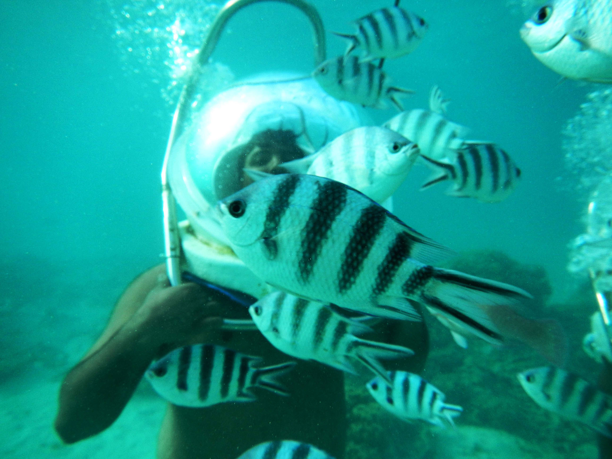 Cassamally Holiday Travel - Fr